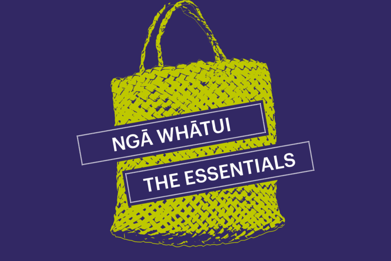 NZEI Te Riu Roa - The most powerful education union in Aotearoa